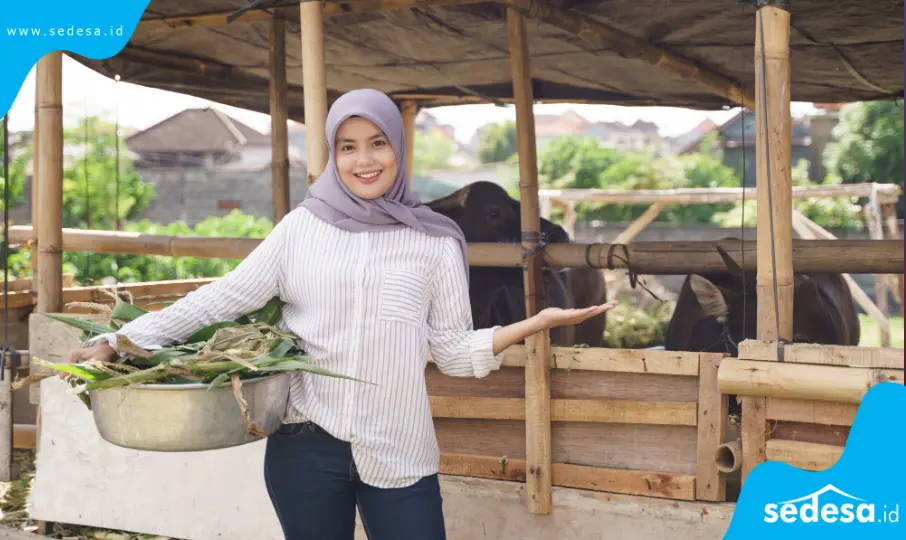 Peluang Usaha di Desa yang Menjanjikan Pembahasan Lengkap! - sedesa.id